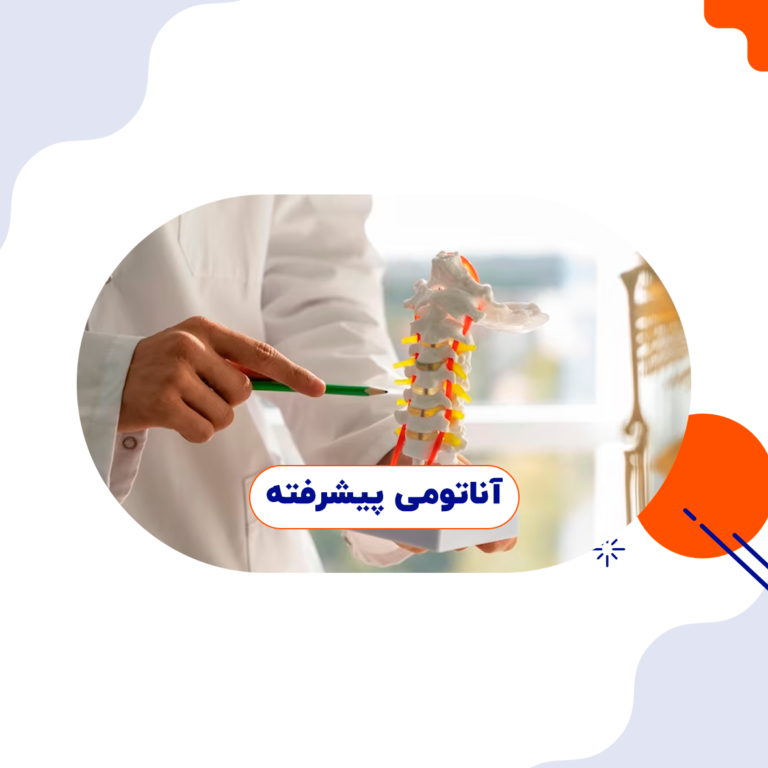 دوره آموزشی آناتومی پیشرفته هنر ماساژ ایرانیان