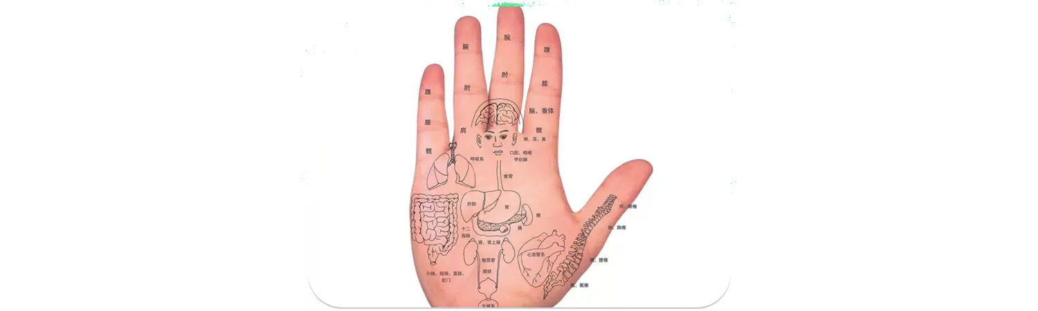 سوجوک تراپی - هنر ماساژ ایرانیان